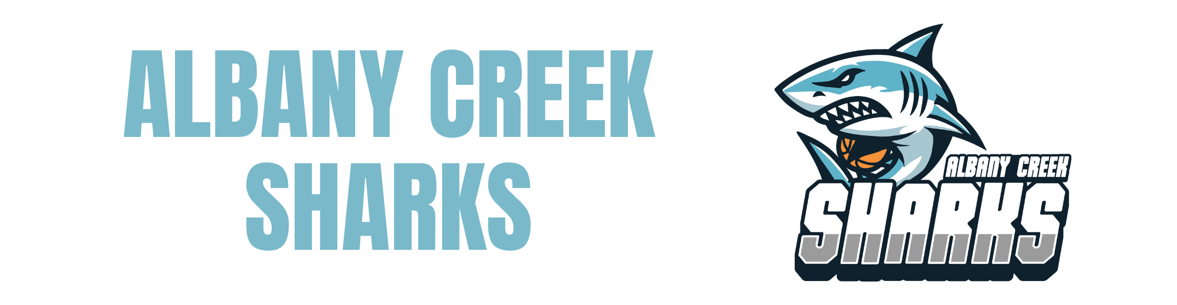 Albany Creek Sharks - Northern Districts Basketball